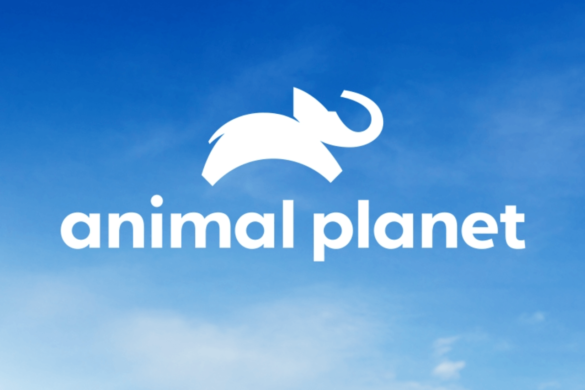 SET India's New Serial 'Radhika Dil Se' - Launch Date & Cast