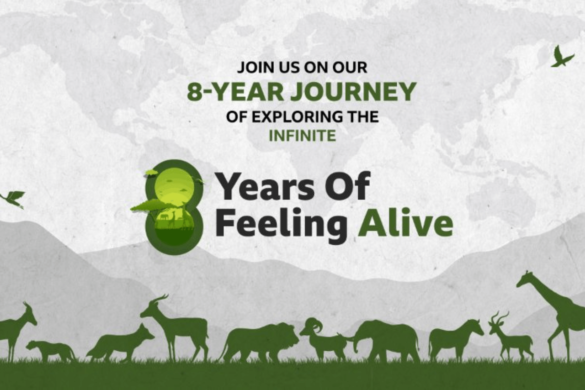 Animal Planet Shows List & Telecast Time [Monday - Friday]